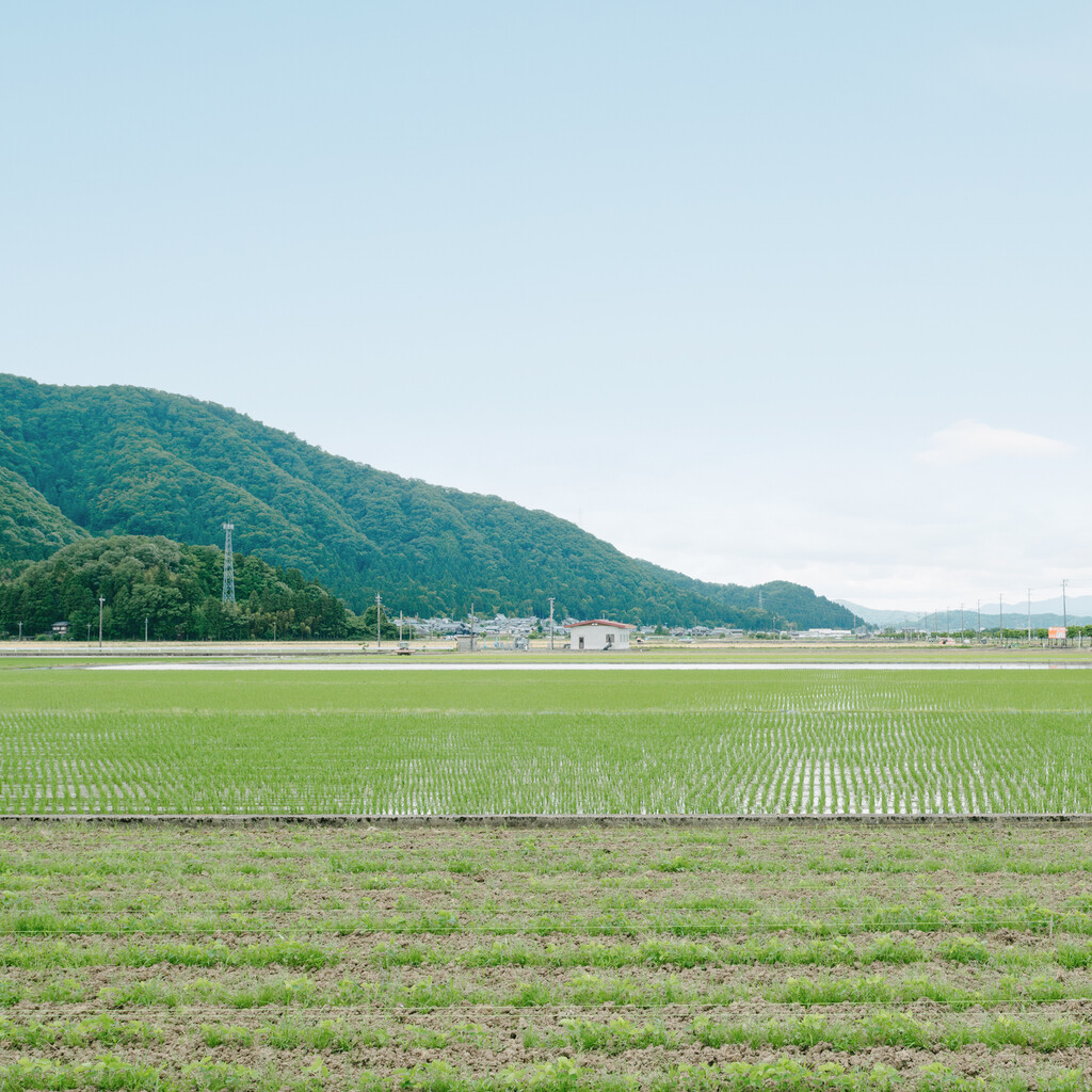 KimuraMatsumoto — ataW, 01